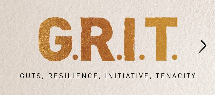 You’re Going to Need GRIT – Our First Week in New Zealand – Soft Landing NZ